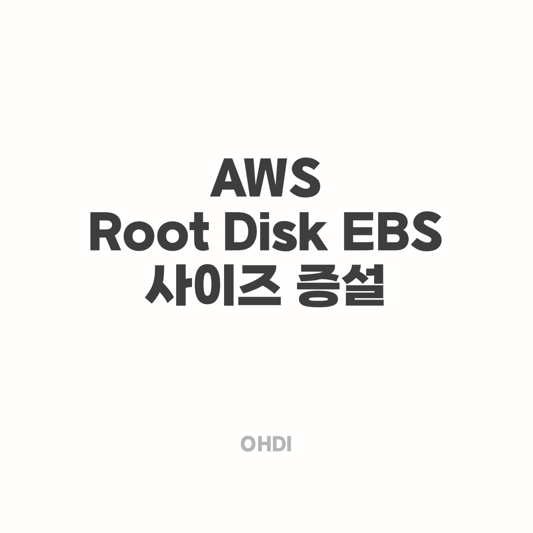 AWS Root Disk EBS 사이즈 증설 - OHDI Travel